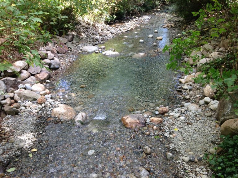 Spawning pool success, Ecofish gives back to the community by bringing ...